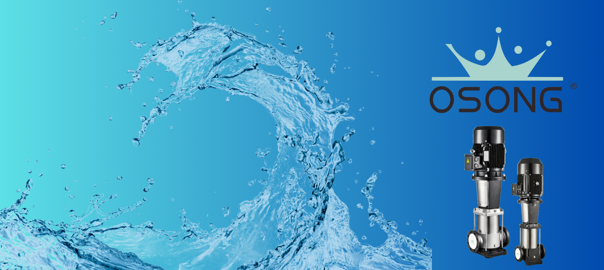 OSONG ELECTRIC CO. LTD